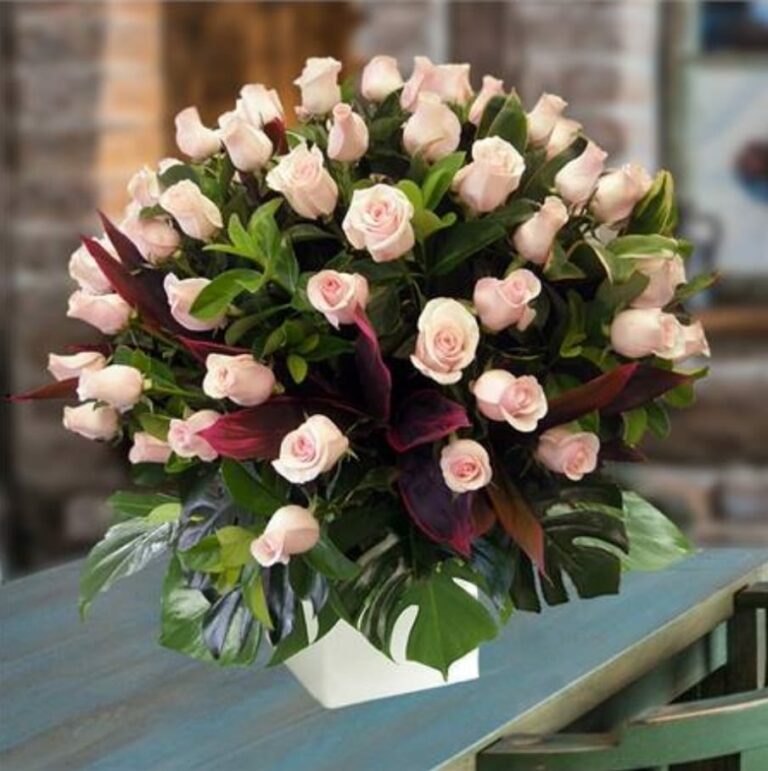 Home | Captains Shop